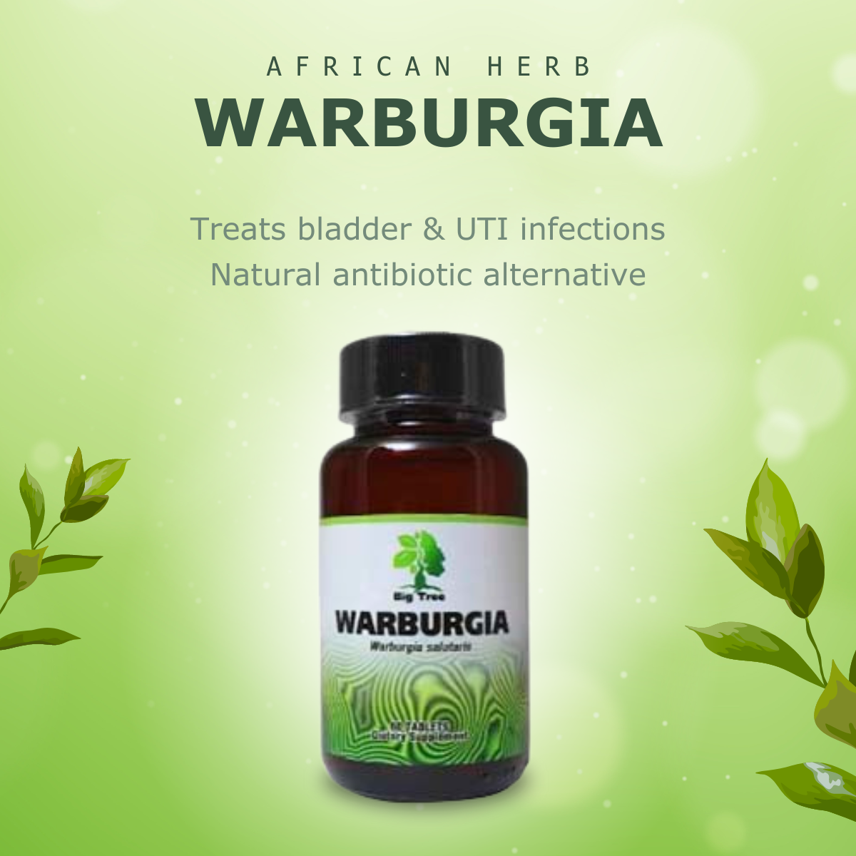 Warburgia BTW001 - turningpointnutrition.co.za